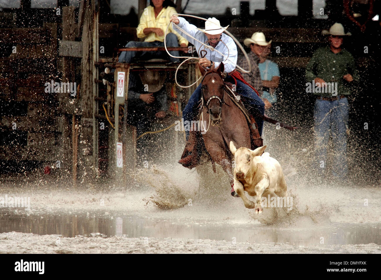 Roping palm hi-res stock photography and images - Alamy