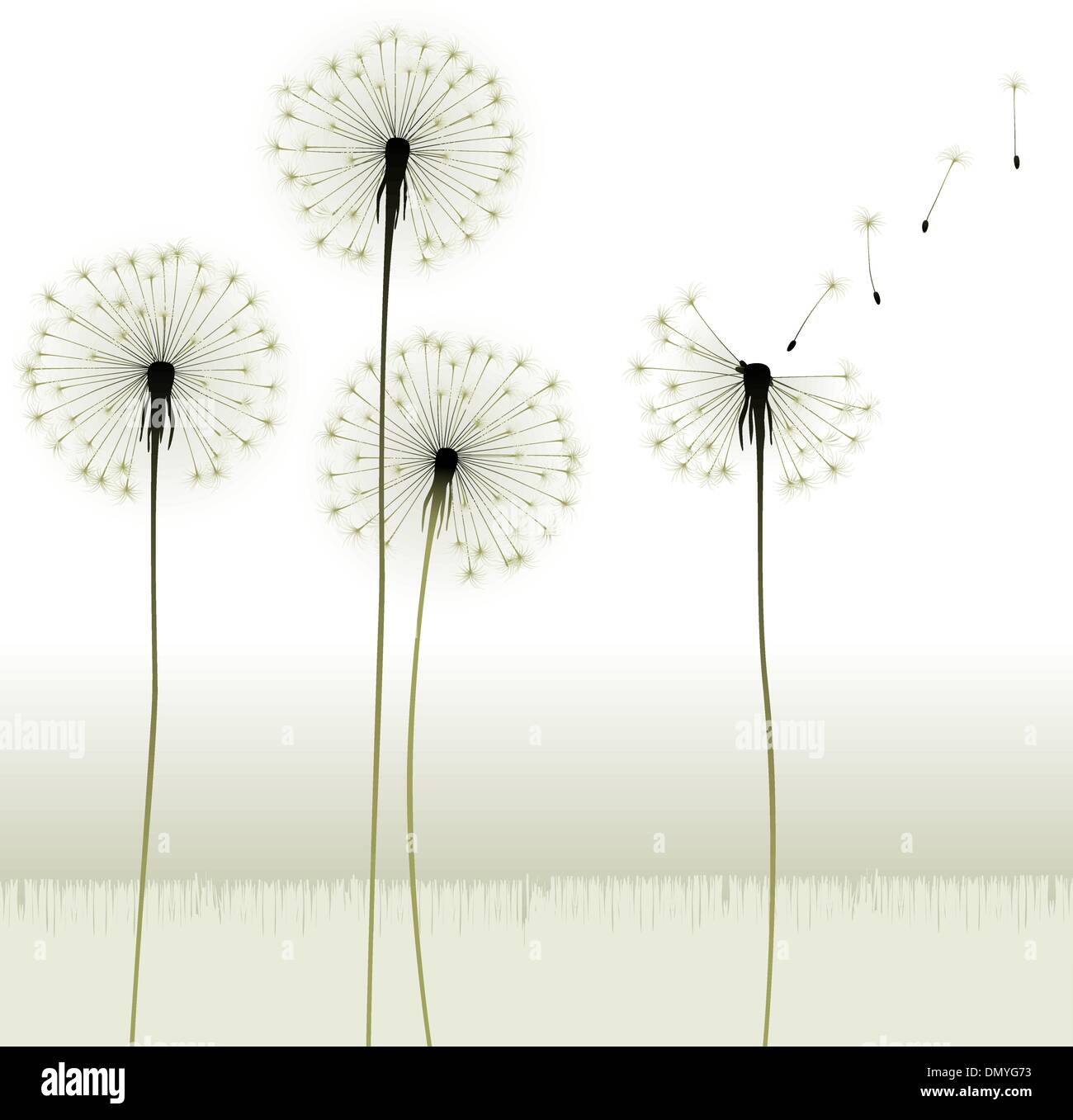 Dandelion painting Stock Vector Images - Alamy