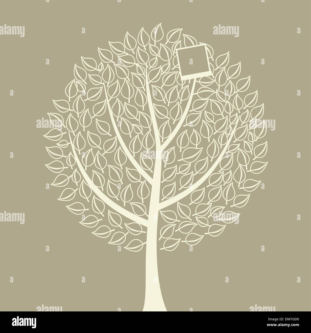 Acacia tree photo hi-res stock photography and images - Alamy