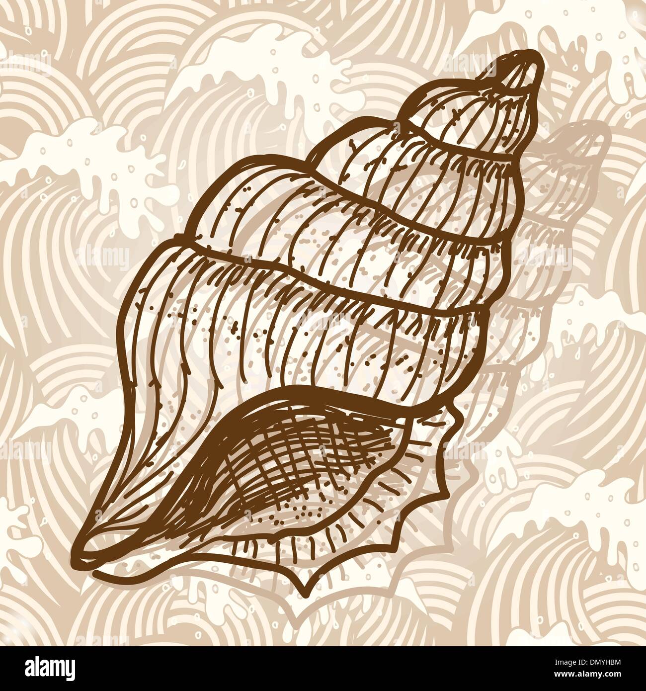 Sea shell Stock Vector Images - Alamy