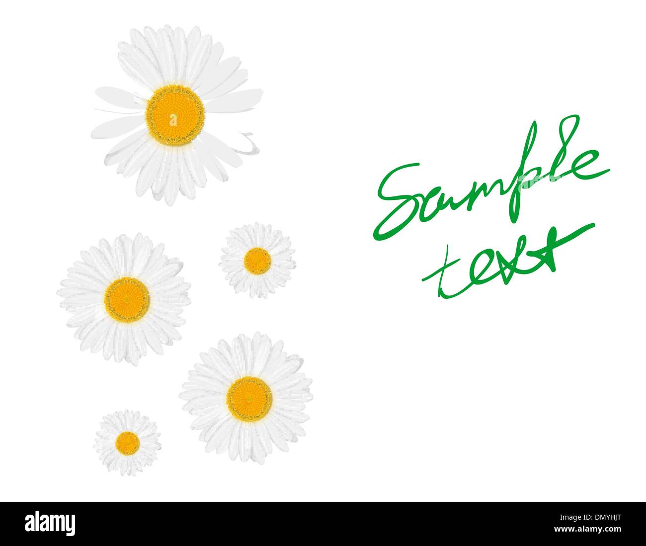 Chamomile image Stock Vector Images - Alamy