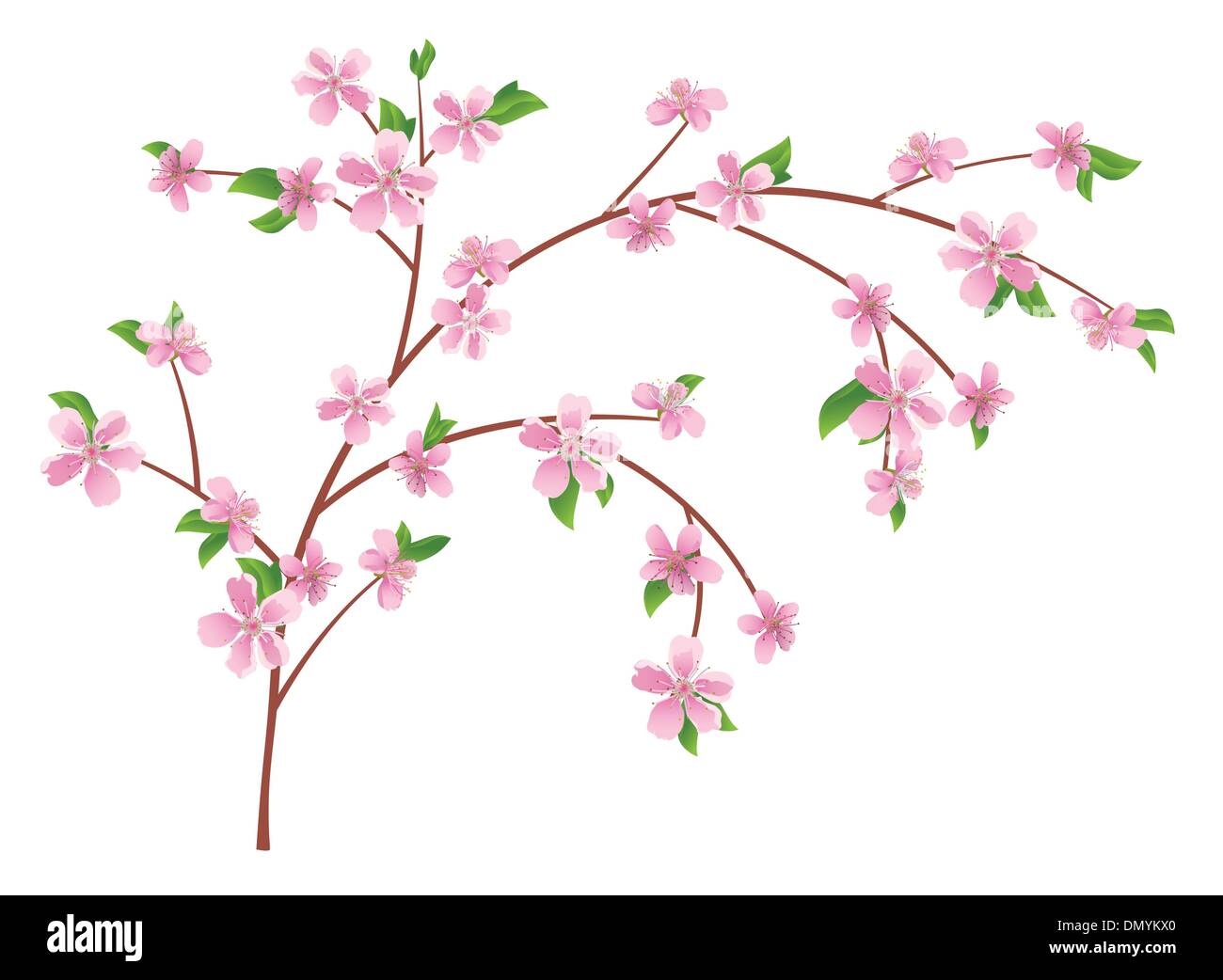 Peach vector vectors hi-res stock photography and images - Alamy