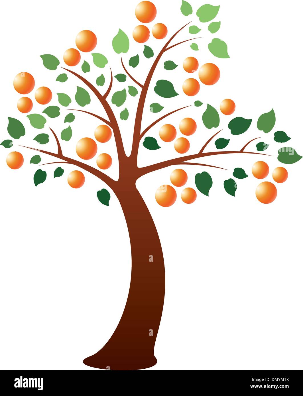 Orange tree branch citrus Stock Vector Images - Alamy
