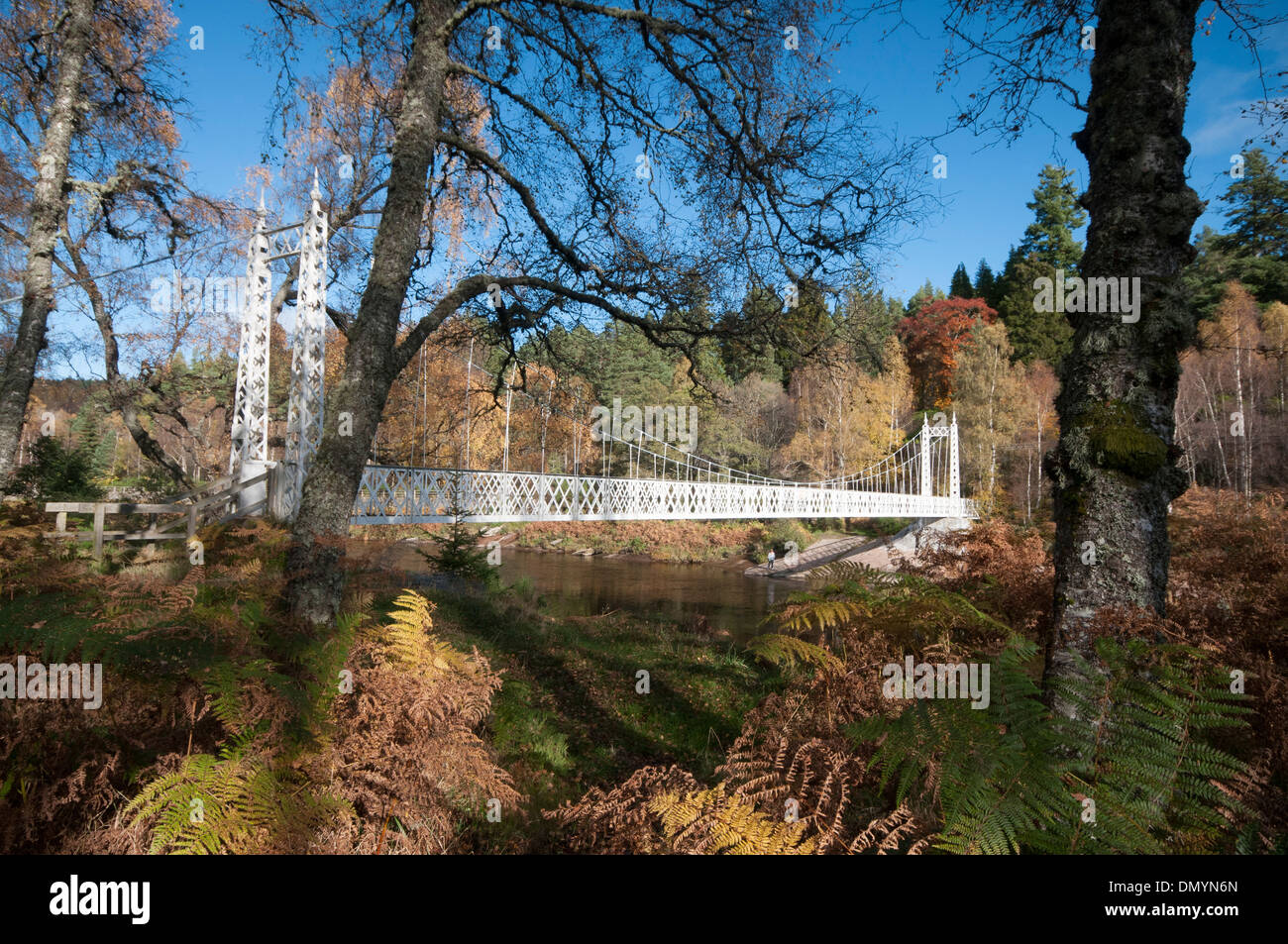 cambus o may suspension bridge in autumn on royal deeside Stock Photo ...