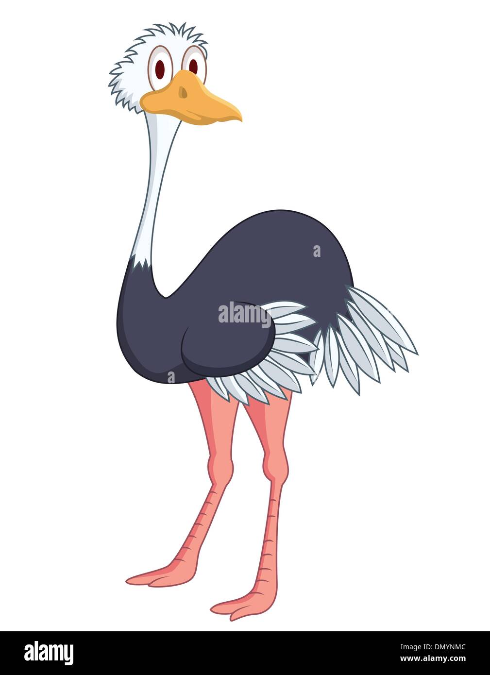 Ostrich cartoon hi-res stock photography and images - Alamy