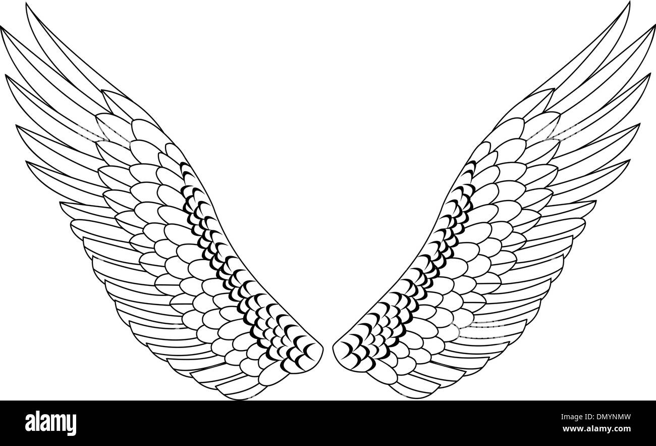 Ornament winged fantasy animal Cut Out Stock Images & Pictures - Alamy