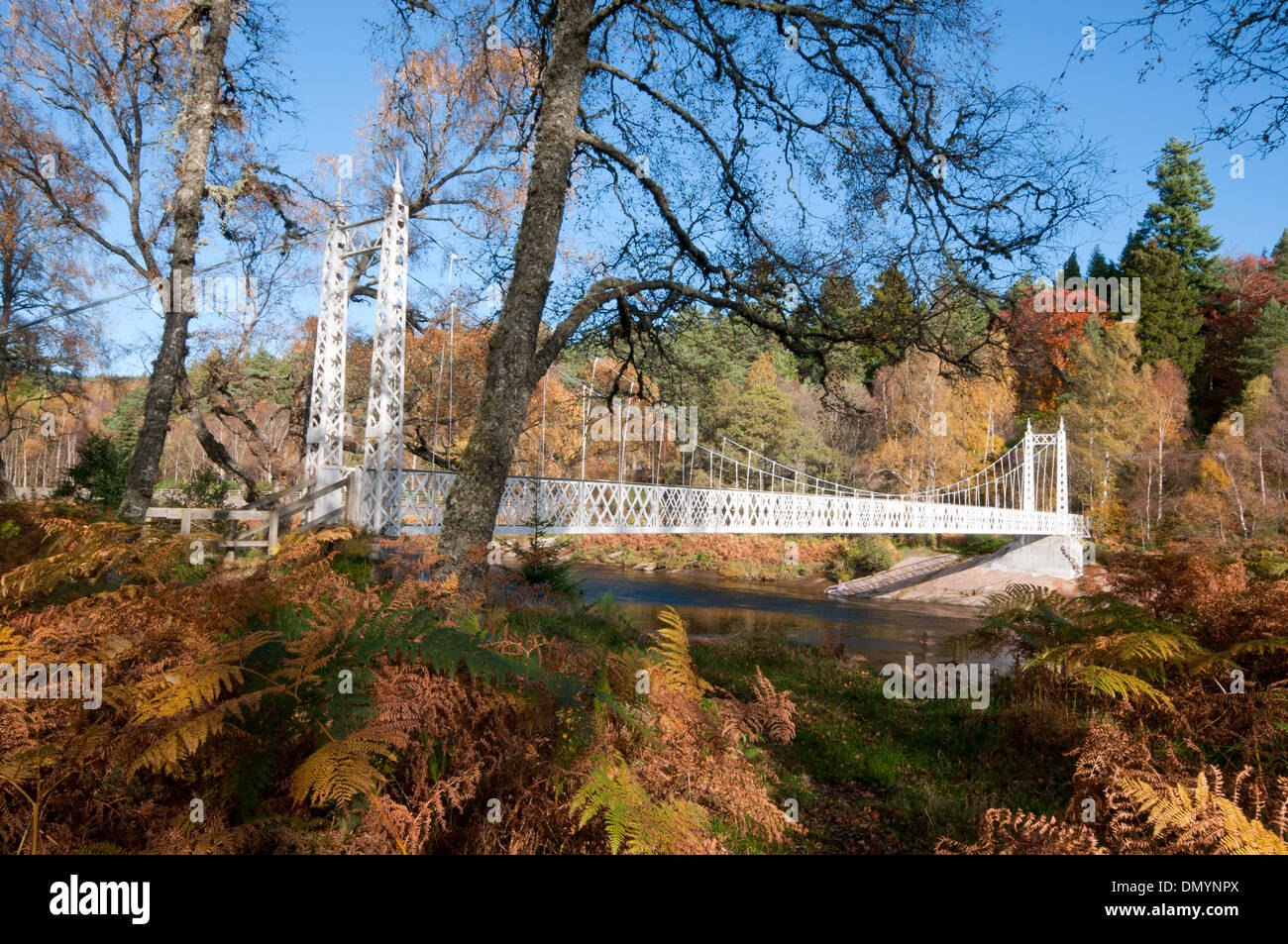 cambus o may suspension bridge in autumn on royal deeside Stock Photo ...