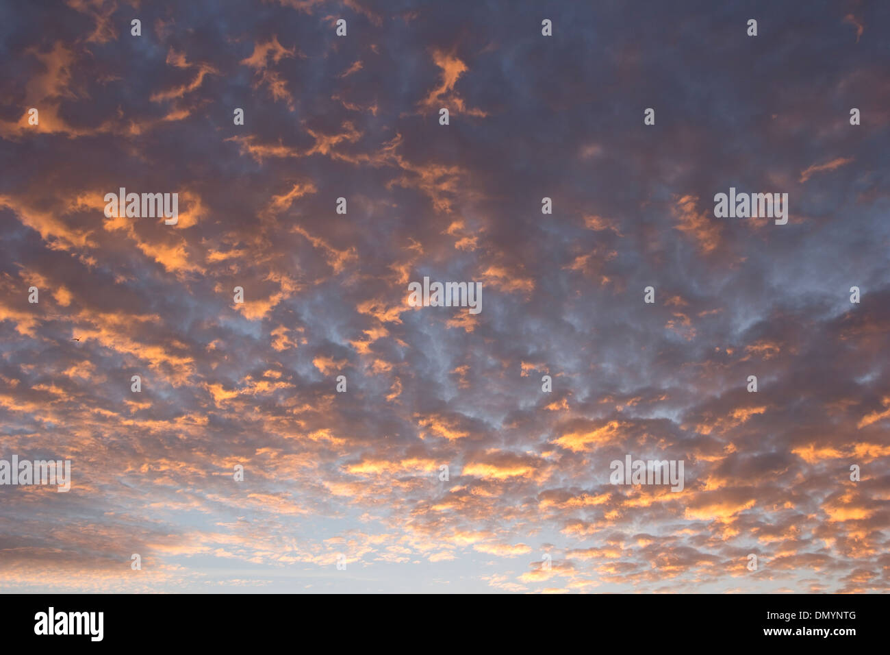 Dramatic sunrise sky background. Soft clouds with the hint of the sun ...