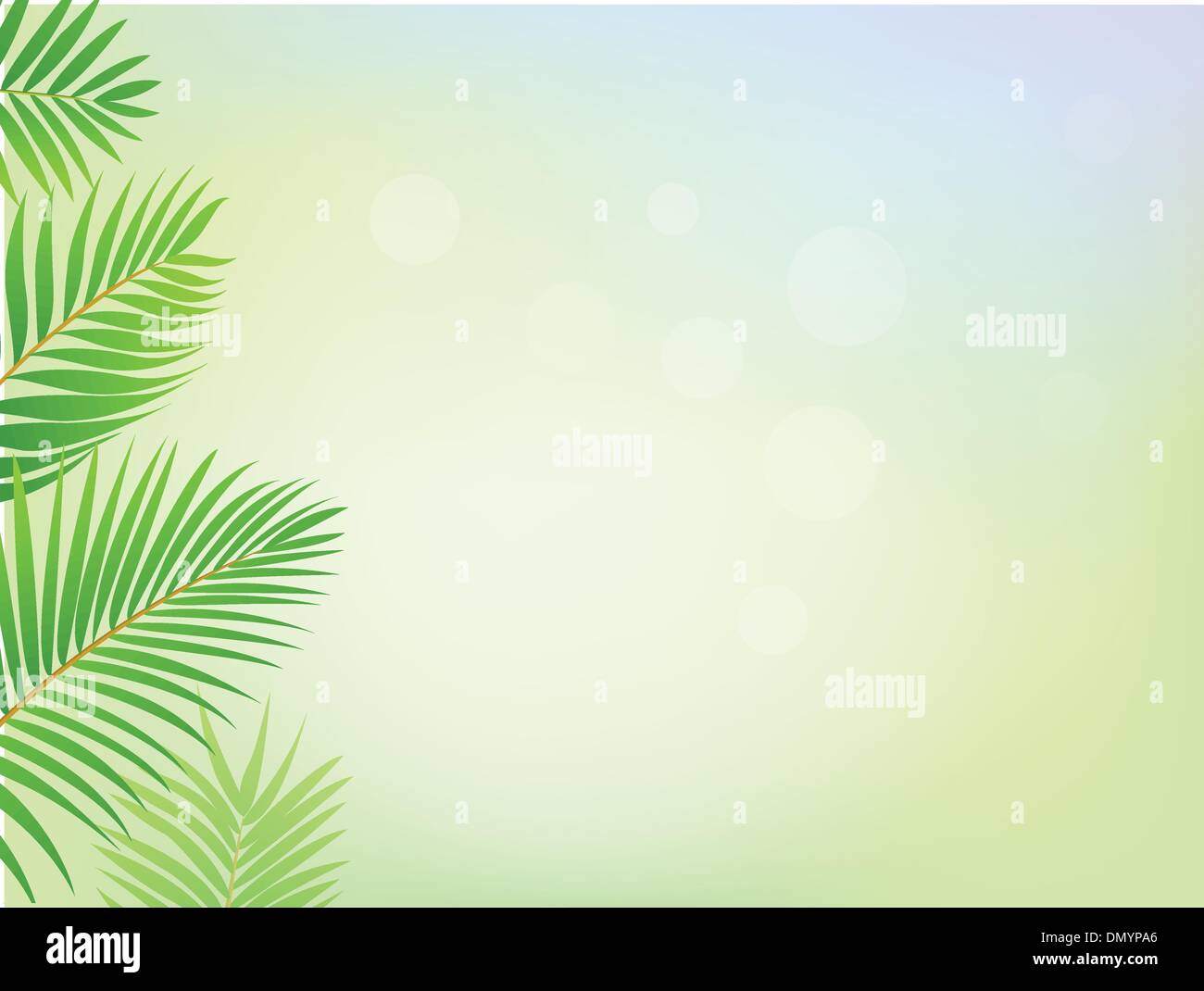 Palm tree frame background Stock Vector Image & Art - Alamy
