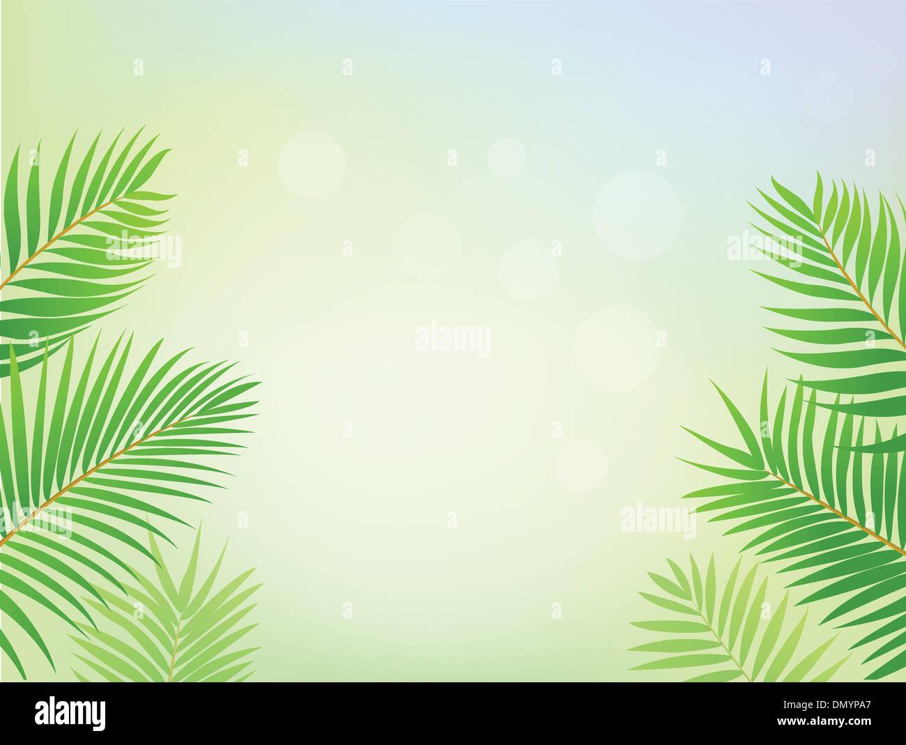 Palm tree frame background Stock Vector Image & Art - Alamy