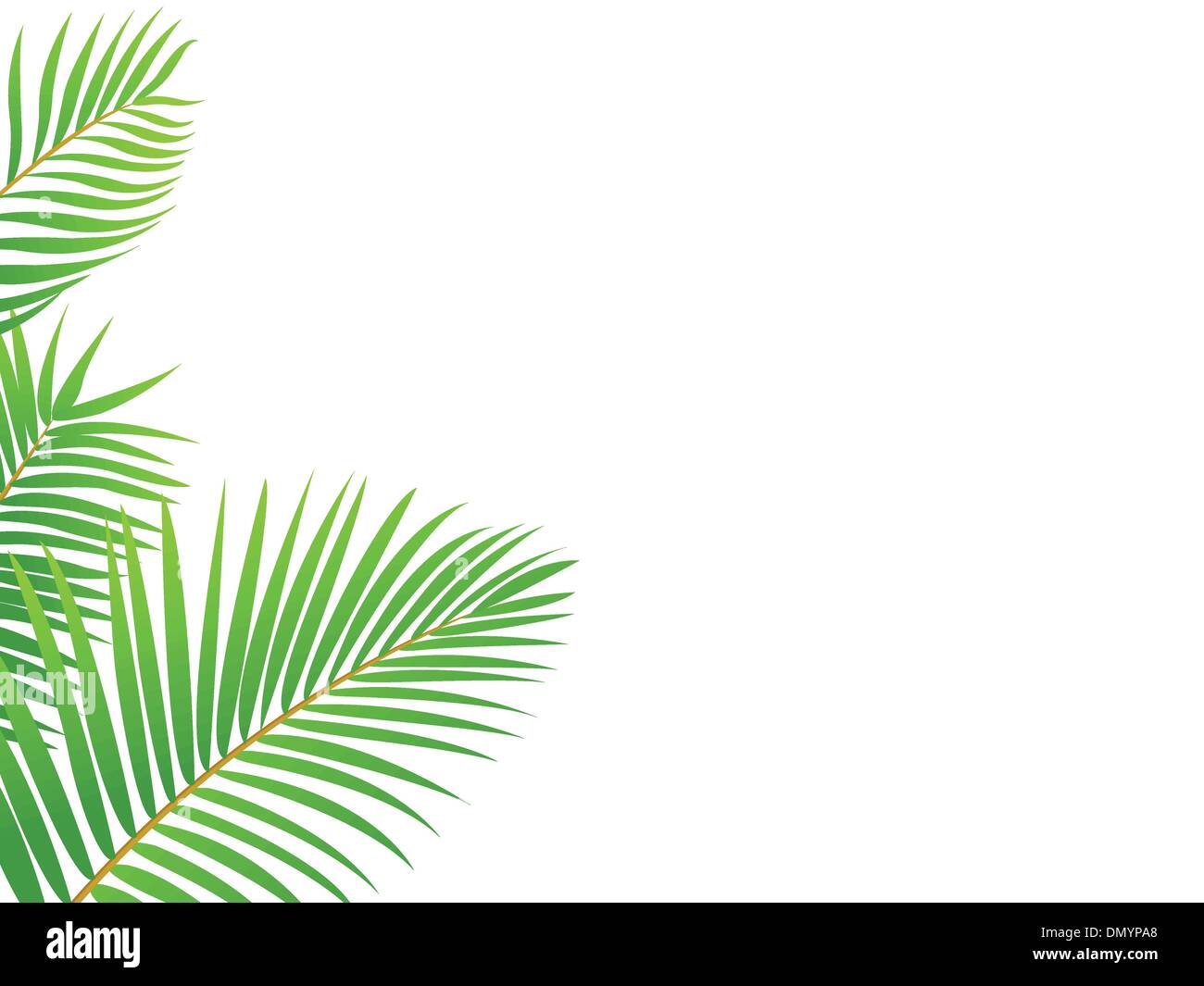 Palm tree frame background Stock Vector Image & Art - Alamy