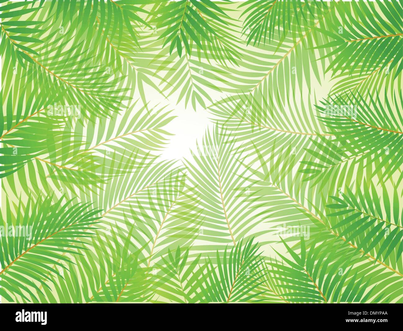 Palm tree frame background Stock Vector Image & Art - Alamy