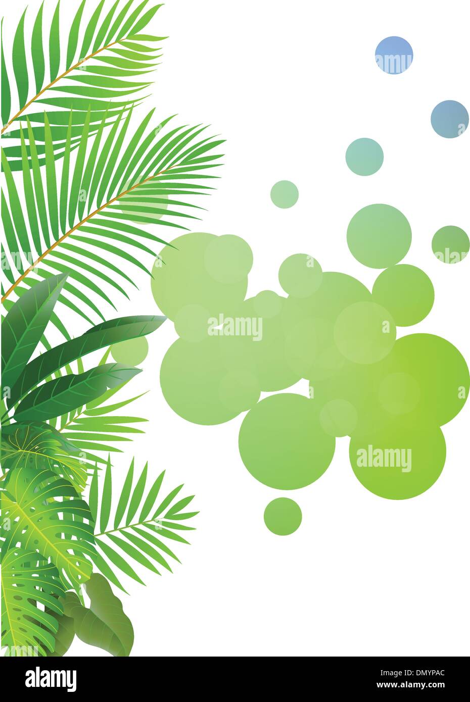 Palm tree frame background Stock Vector Image & Art - Alamy