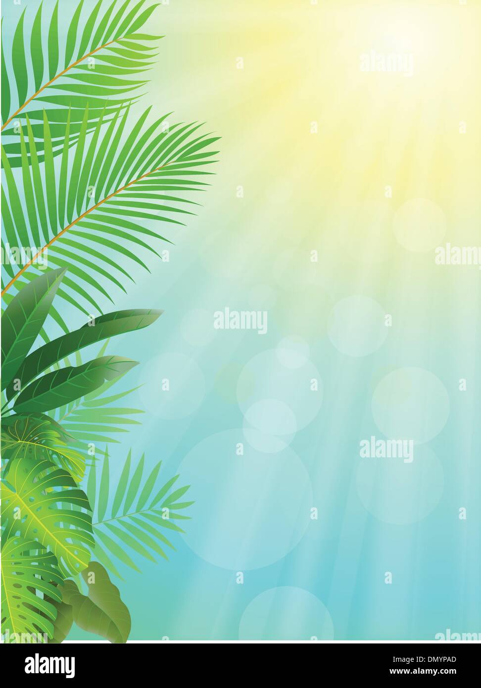 Palm tree frame background Stock Vector Image & Art - Alamy