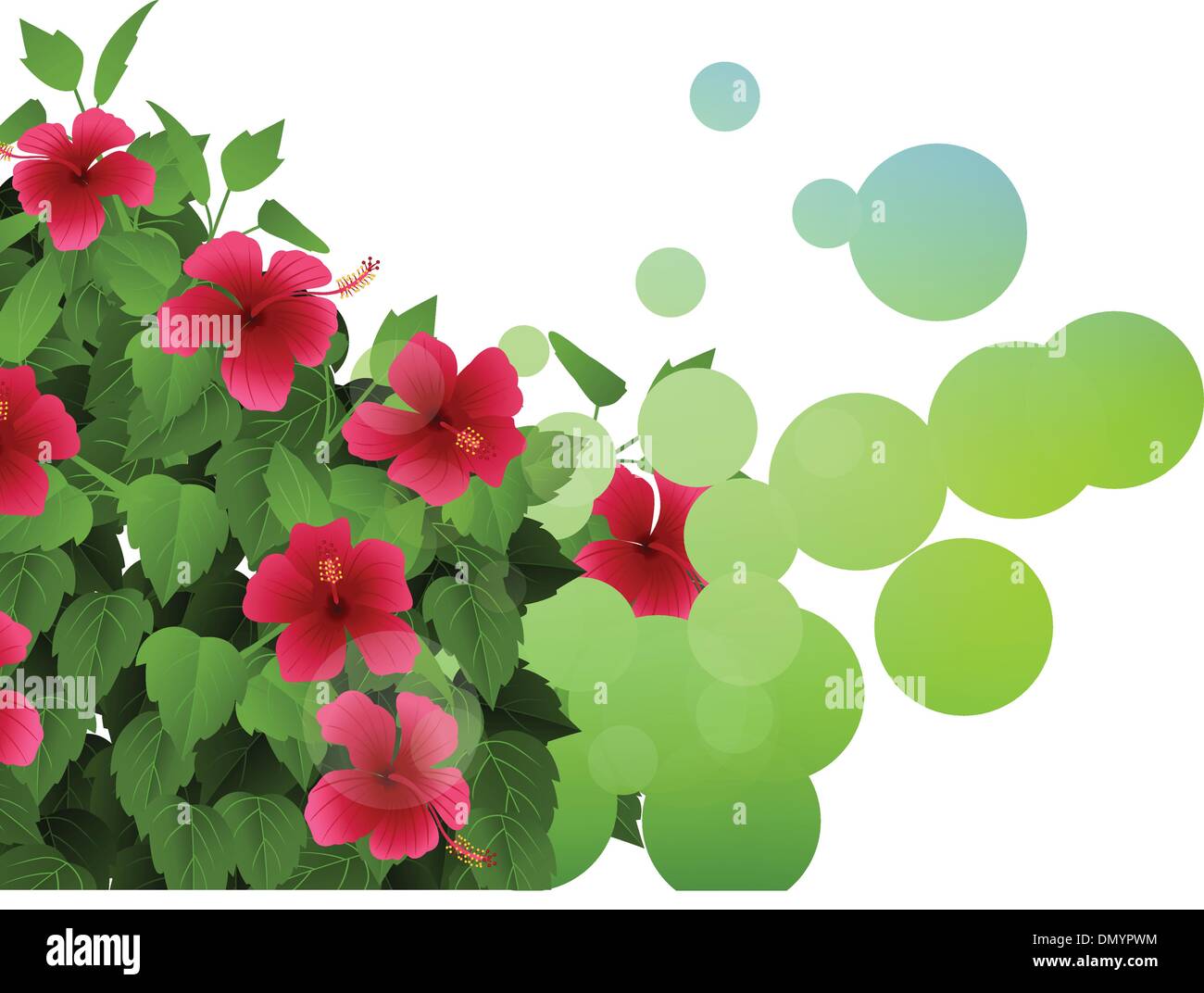 tropical flower background Stock Vector Image & Art - Alamy