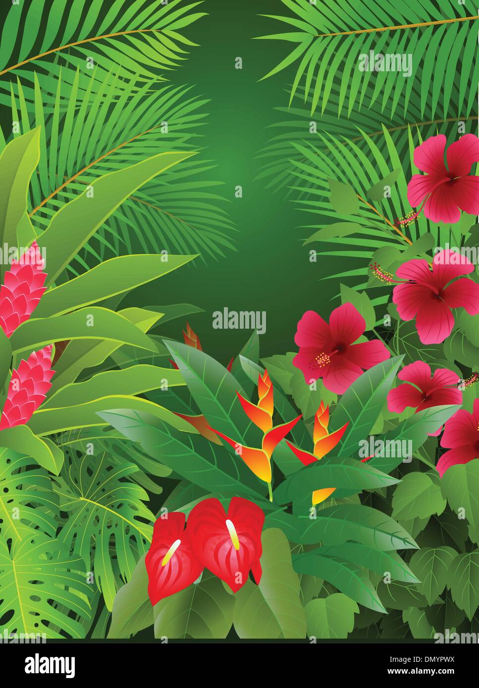 Tropical Forest Background Stock Vector Image And Art Alamy