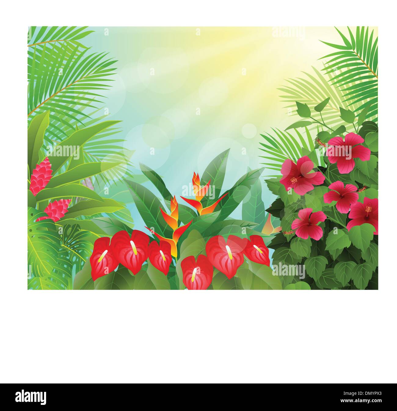 tropical forest background Stock Vector Image & Art - Alamy