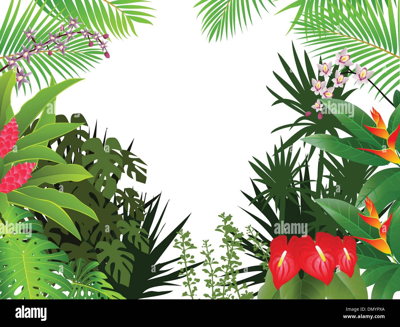 Tropical Forest Backgrounds