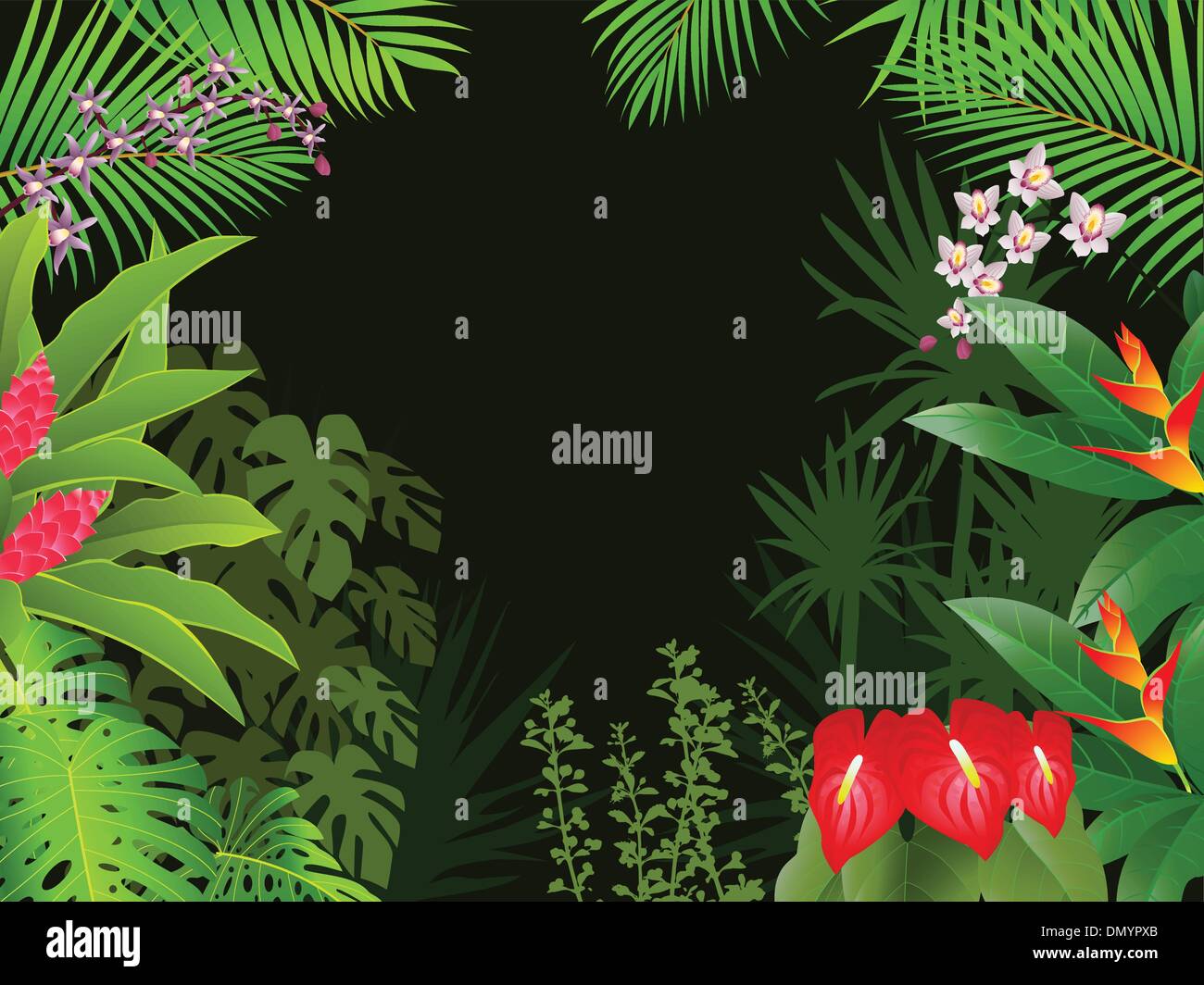 Tropical Forest Background Stock Vector Image And Art Alamy