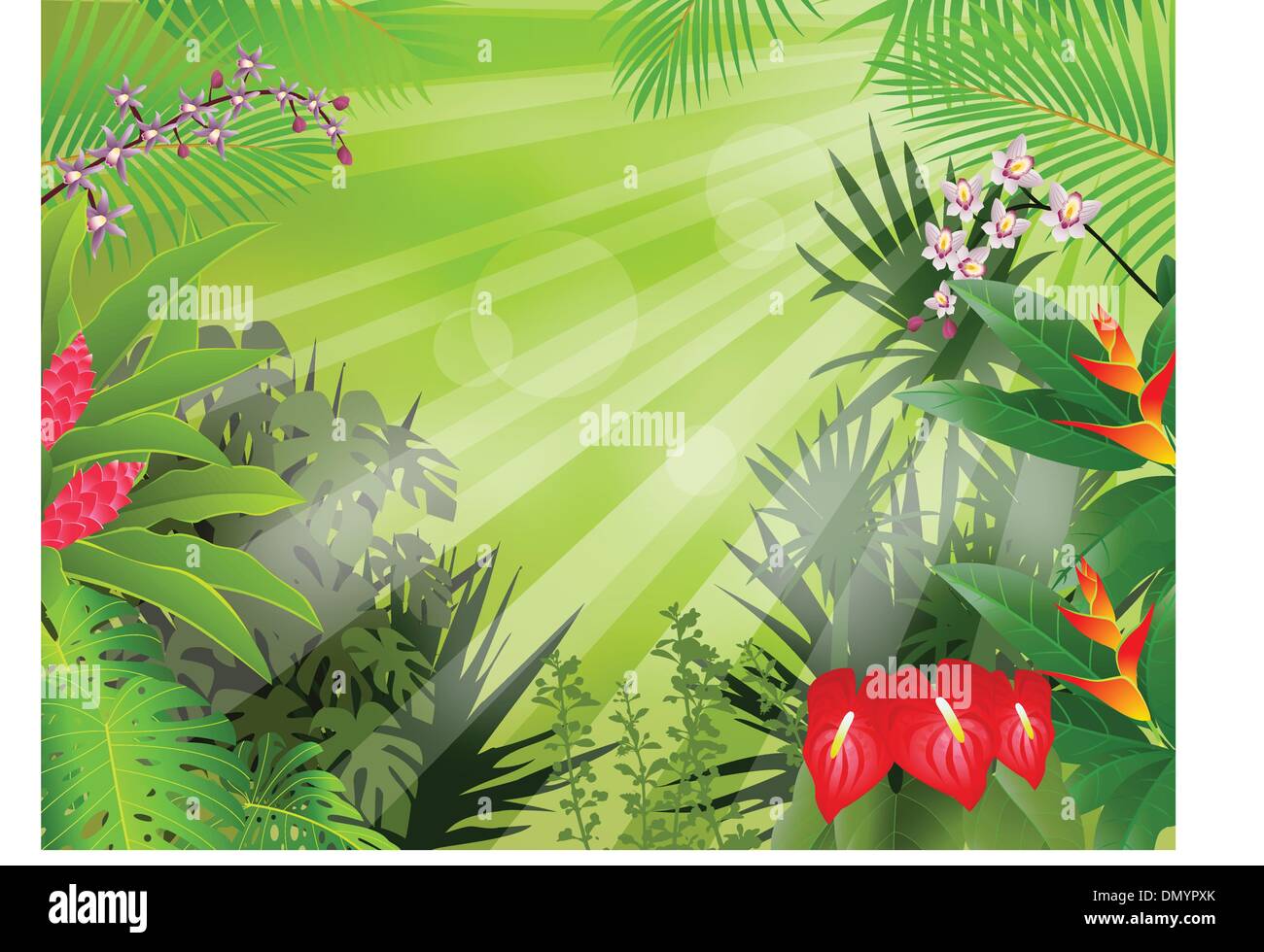 tropical forest background Stock Vector Image & Art - Alamy