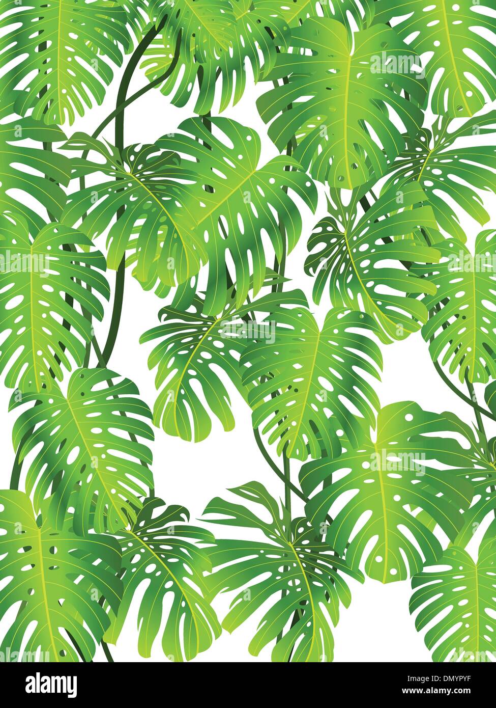 Tropical leaf background Stock Vector Image & Art - Alamy