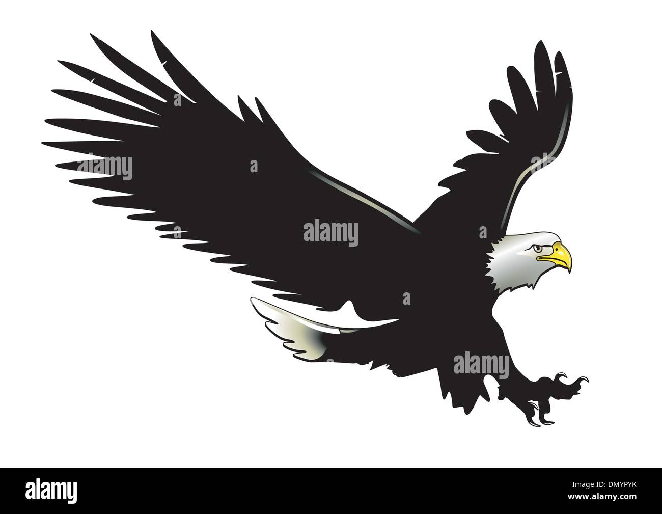 Eagle in flight Stock Vector Image & Art - Alamy