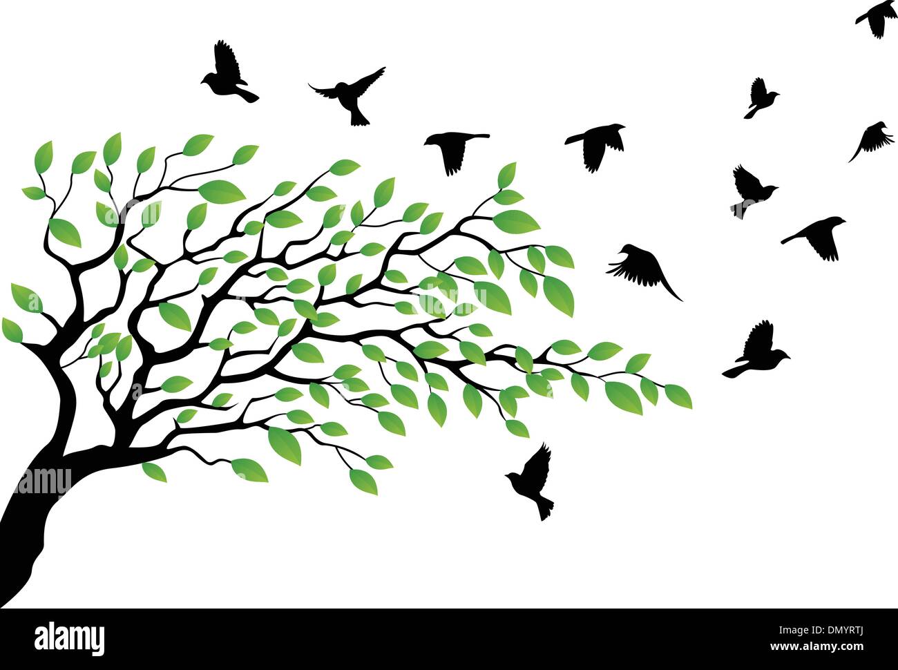 Tree Silhouette With Birds