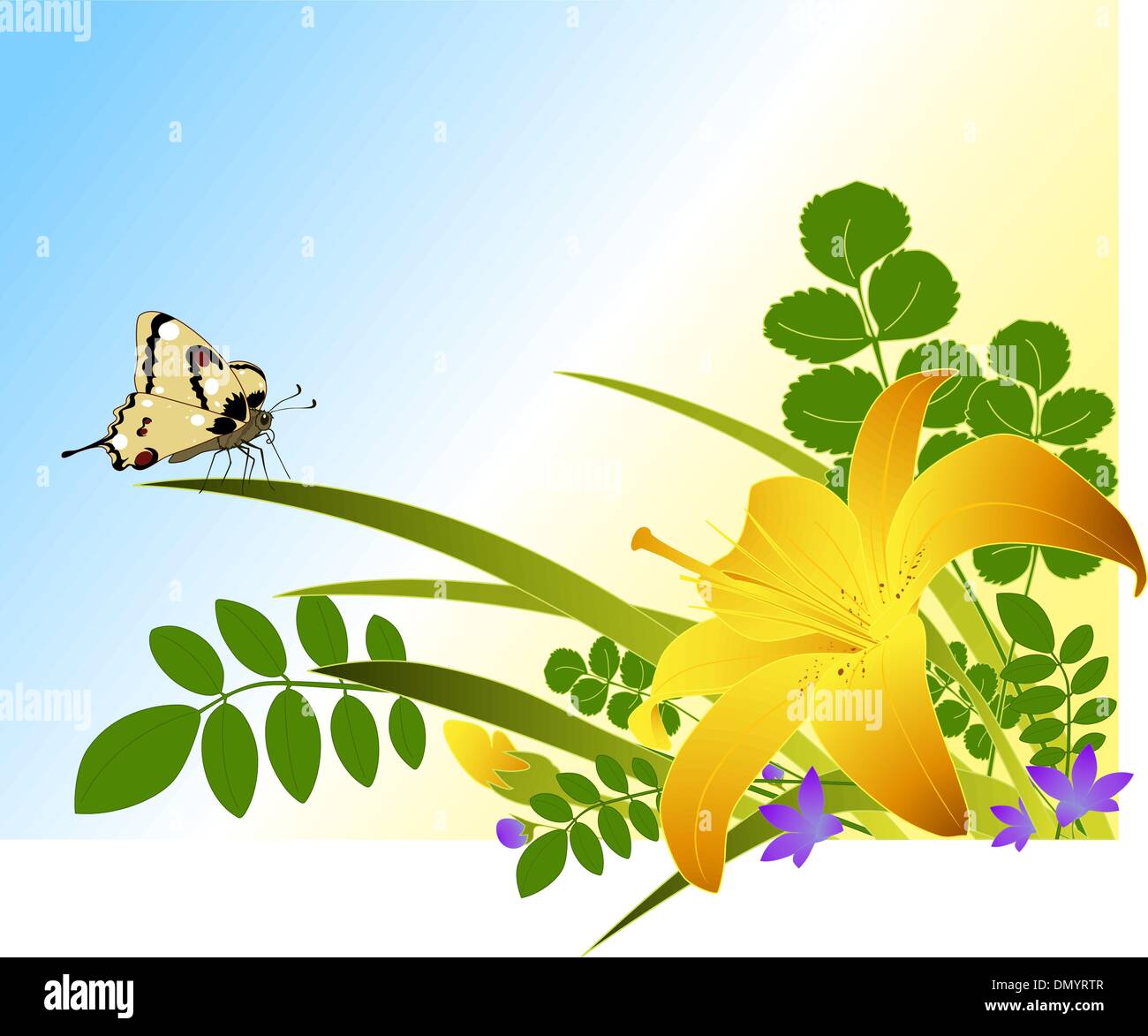 floral background with lily Stock Vector Image & Art - Alamy