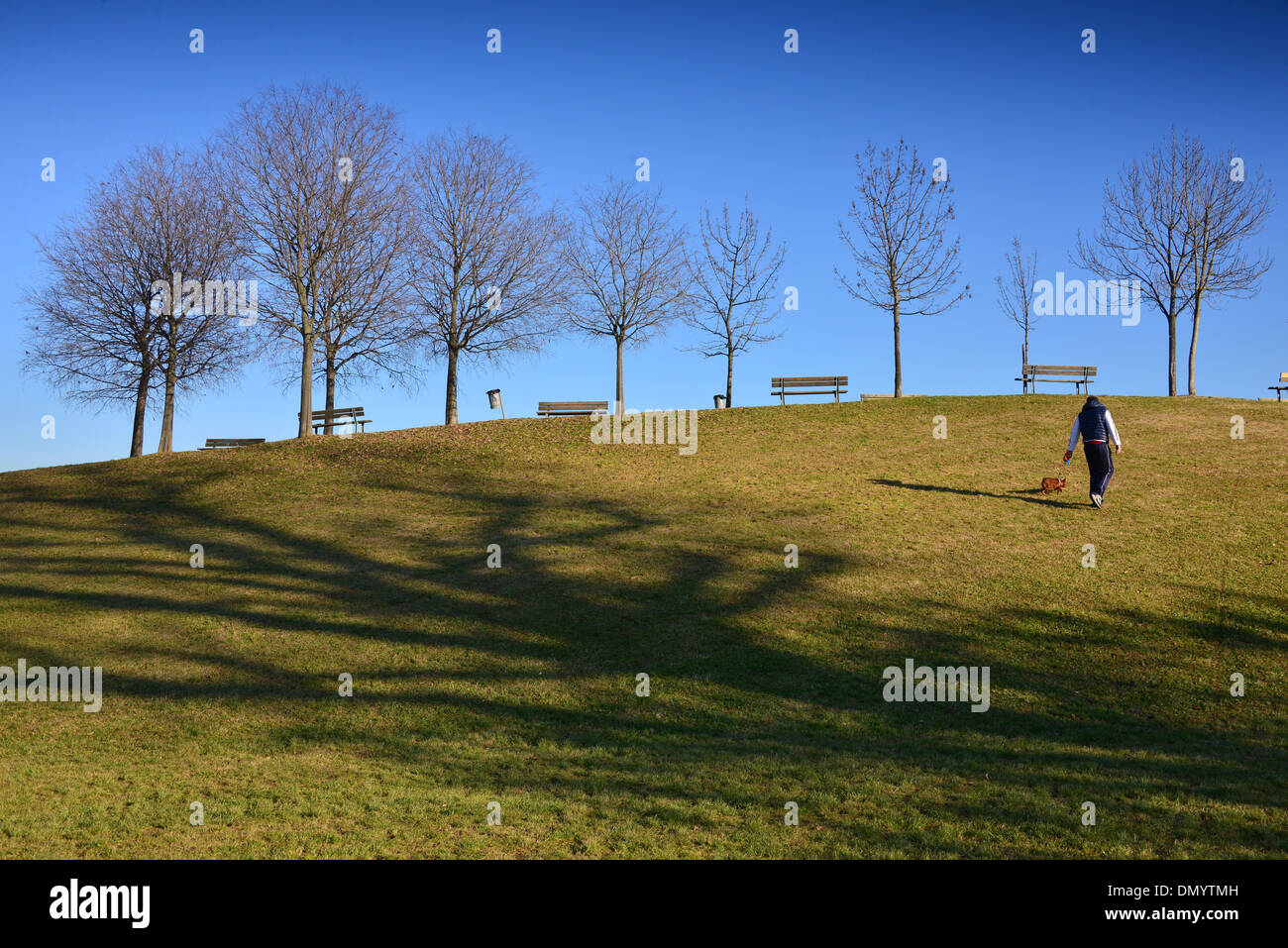 Shadows grass hi-res stock photography and images - Alamy
