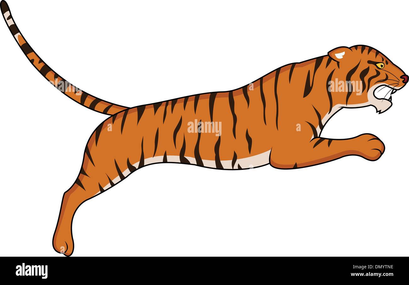 Cartoon single tiger hi-res stock photography and images - Alamy