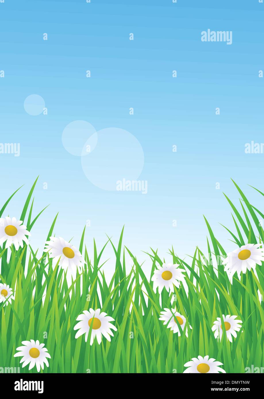 Landscape With Grass Stock Vector Image & Art - Alamy