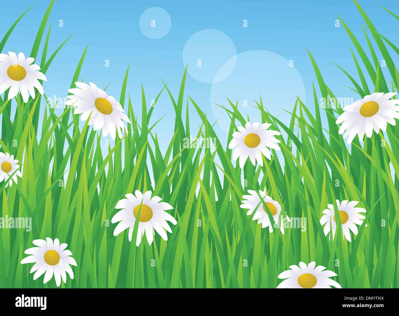 Grassland prairie Stock Vector Images - Alamy