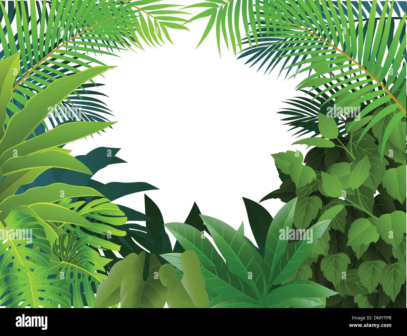 Tropical forest background Stock Vector Image & Art - Alamy