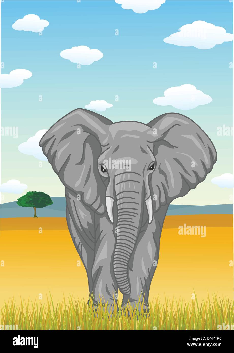 African elephant front view Stock Vector Images - Alamy