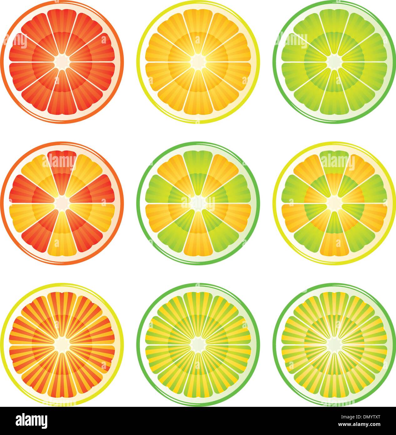 vector citrus slices Stock Vector Image & Art - Alamy