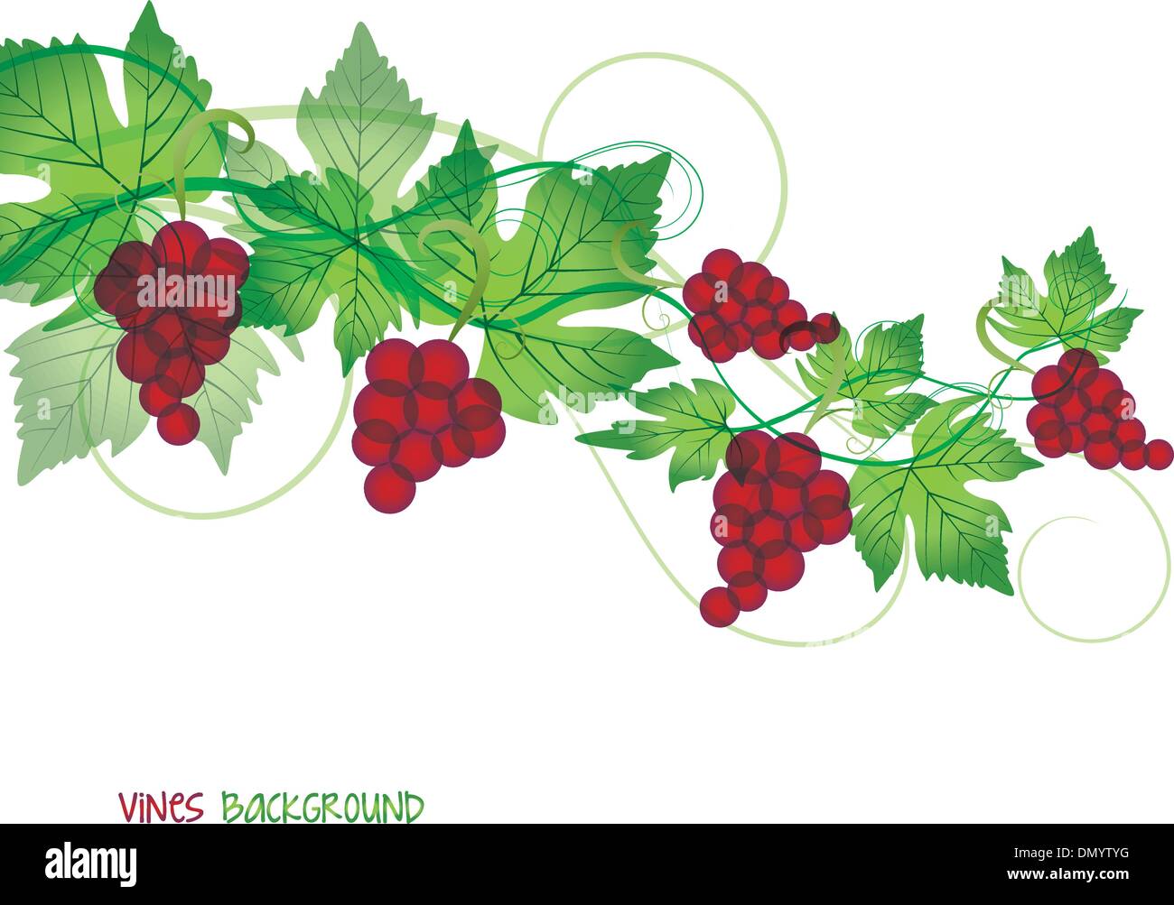 Decorative border grapes Stock Vector Images - Alamy