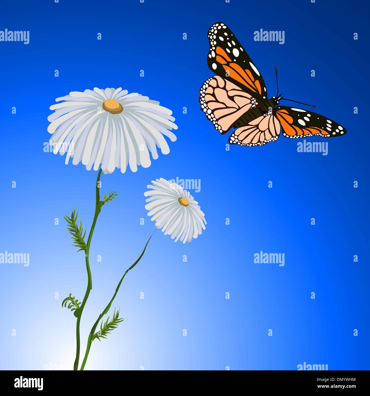 Chamomile lawn illustration Stock Vector Images - Alamy