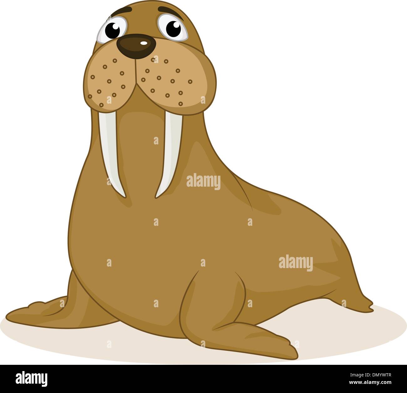 Walrus cartoon hi-res stock photography and images - Alamy