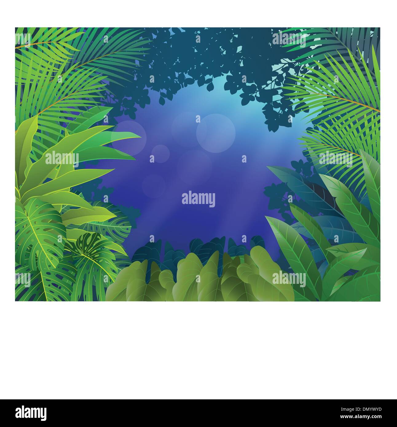 Tropical forest background Stock Vector Image & Art - Alamy