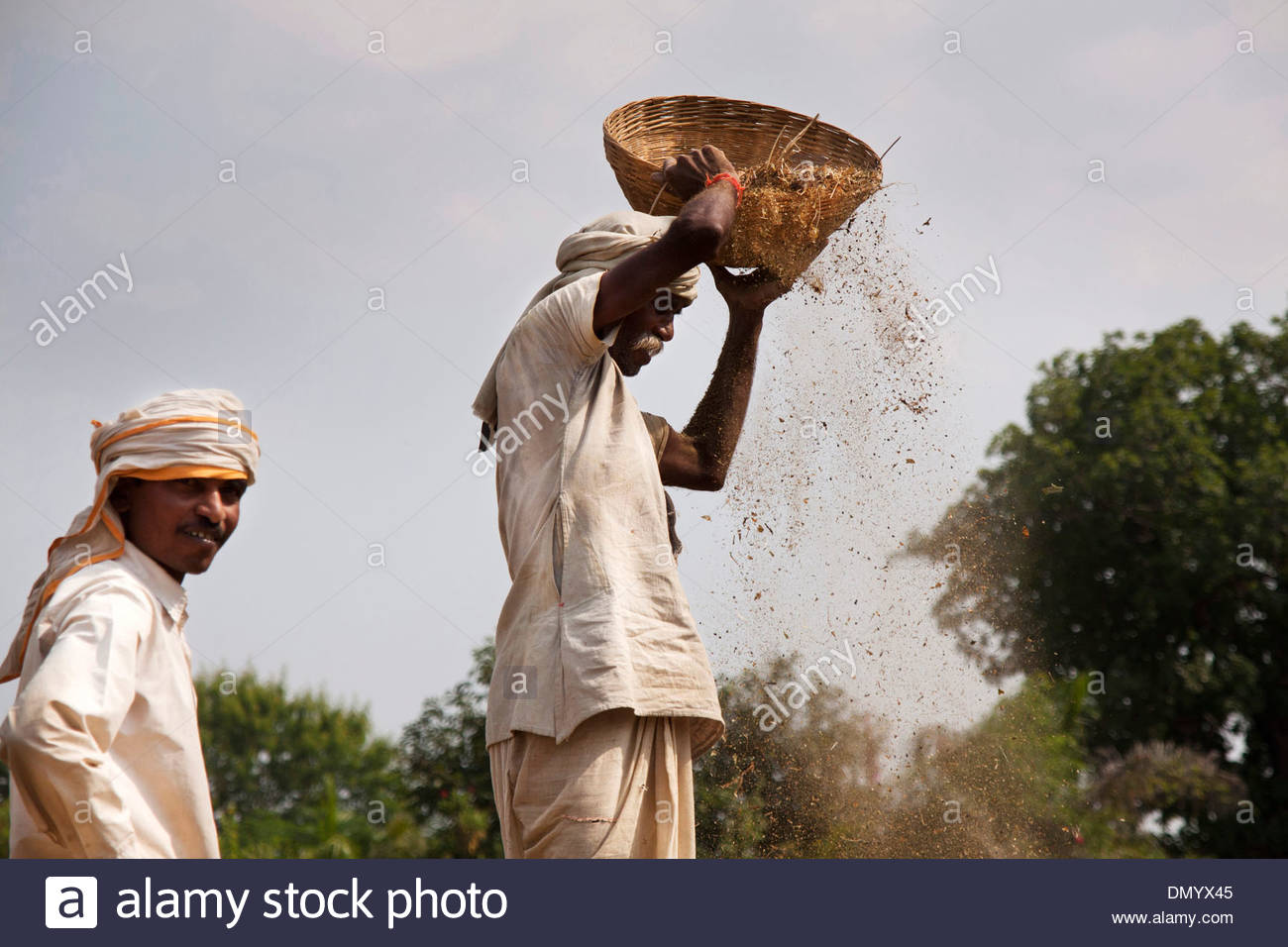 Winnowing Stock Photos & Winnowing Stock Images - Alamy