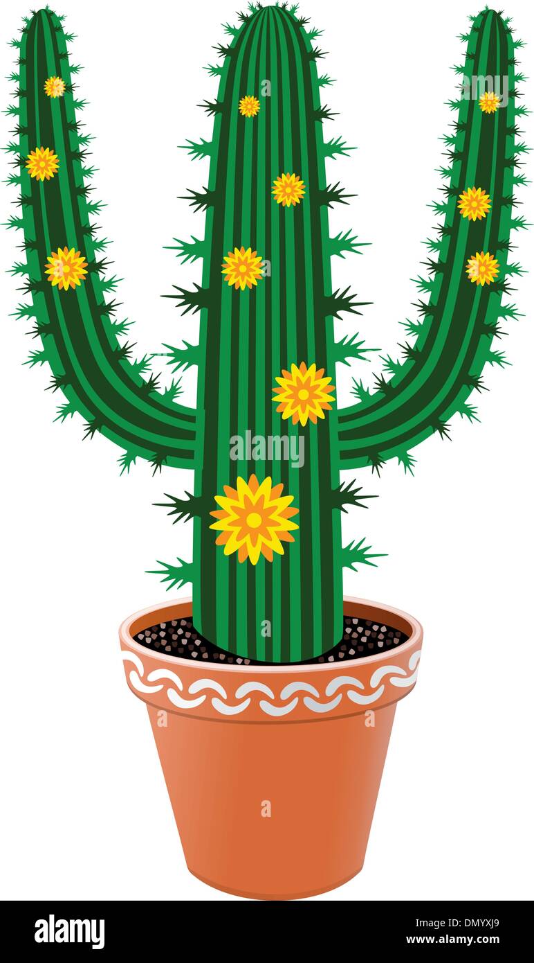 vector pot cactus with flowers Stock Vector Image & Art - Alamy