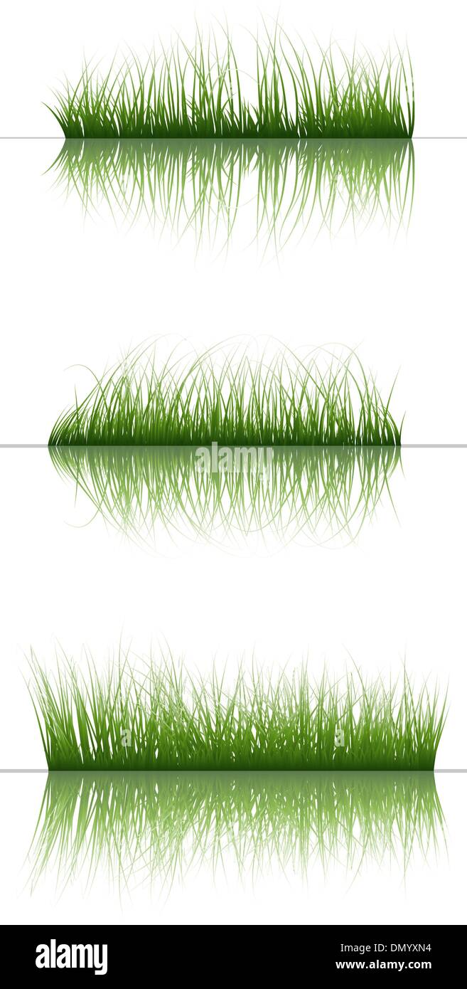grass on water Stock Vector Image & Art - Alamy
