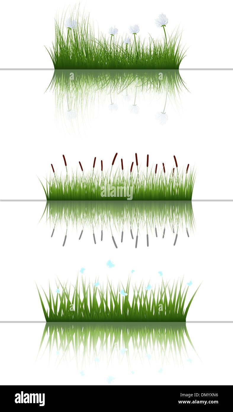 grass on water Stock Vector Image & Art - Alamy