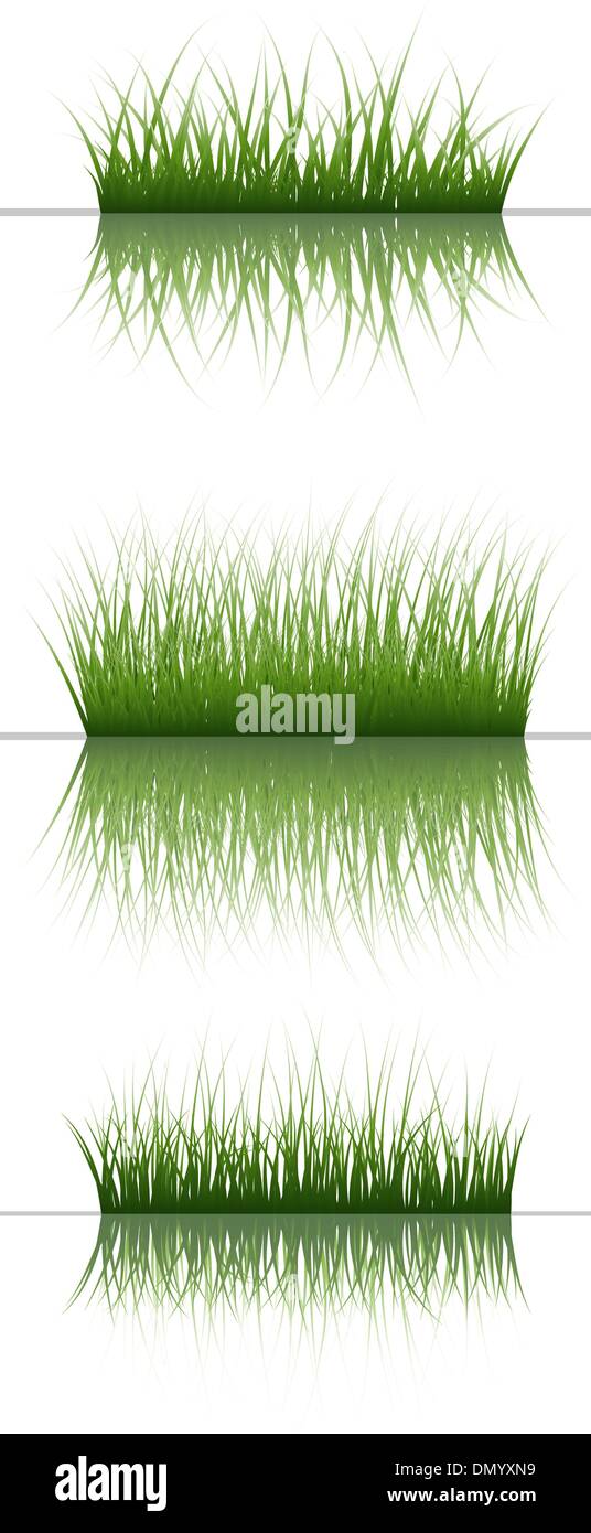 grass on water Stock Vector Image & Art - Alamy