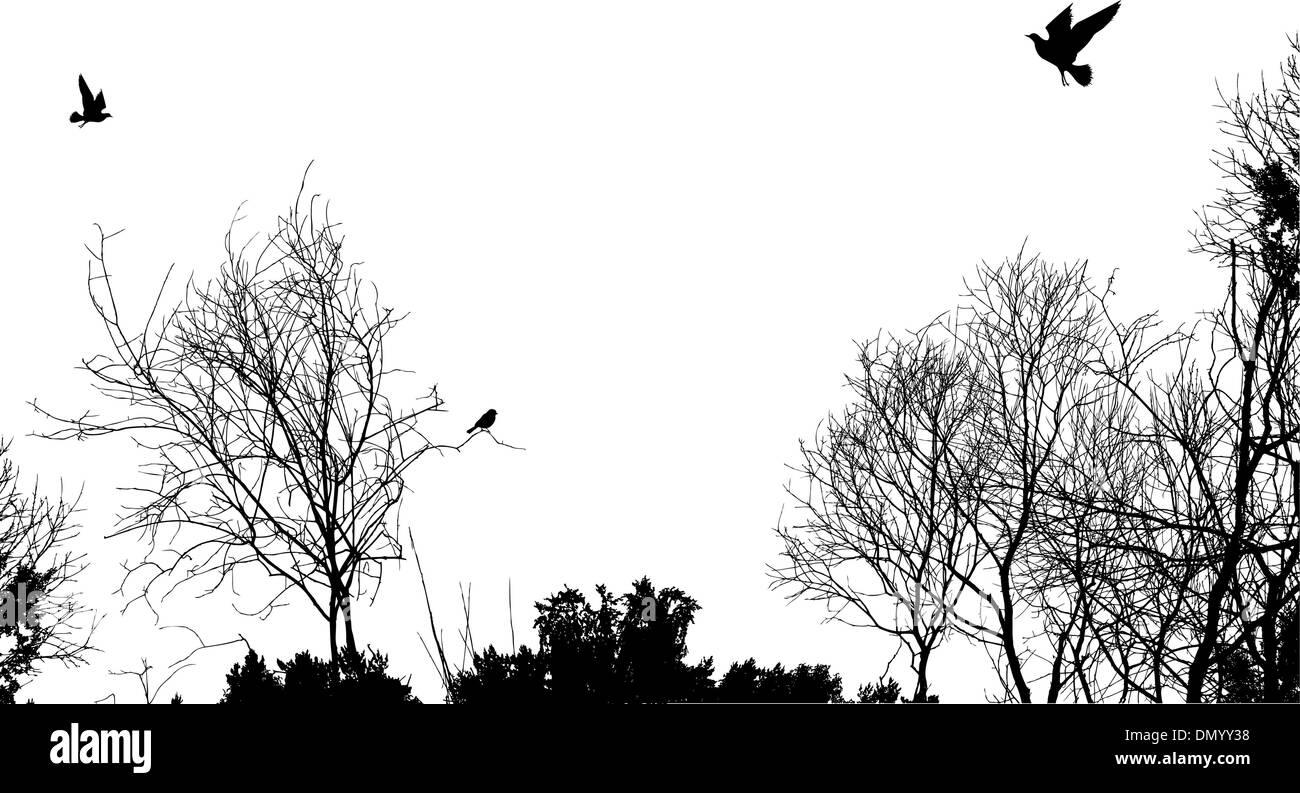 Trees and birds Stock Vector Images - Alamy