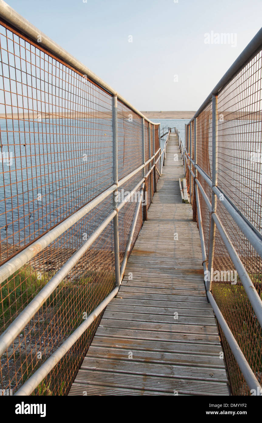 English seashore. A rickety old wooden jetty projects into the brackish ...