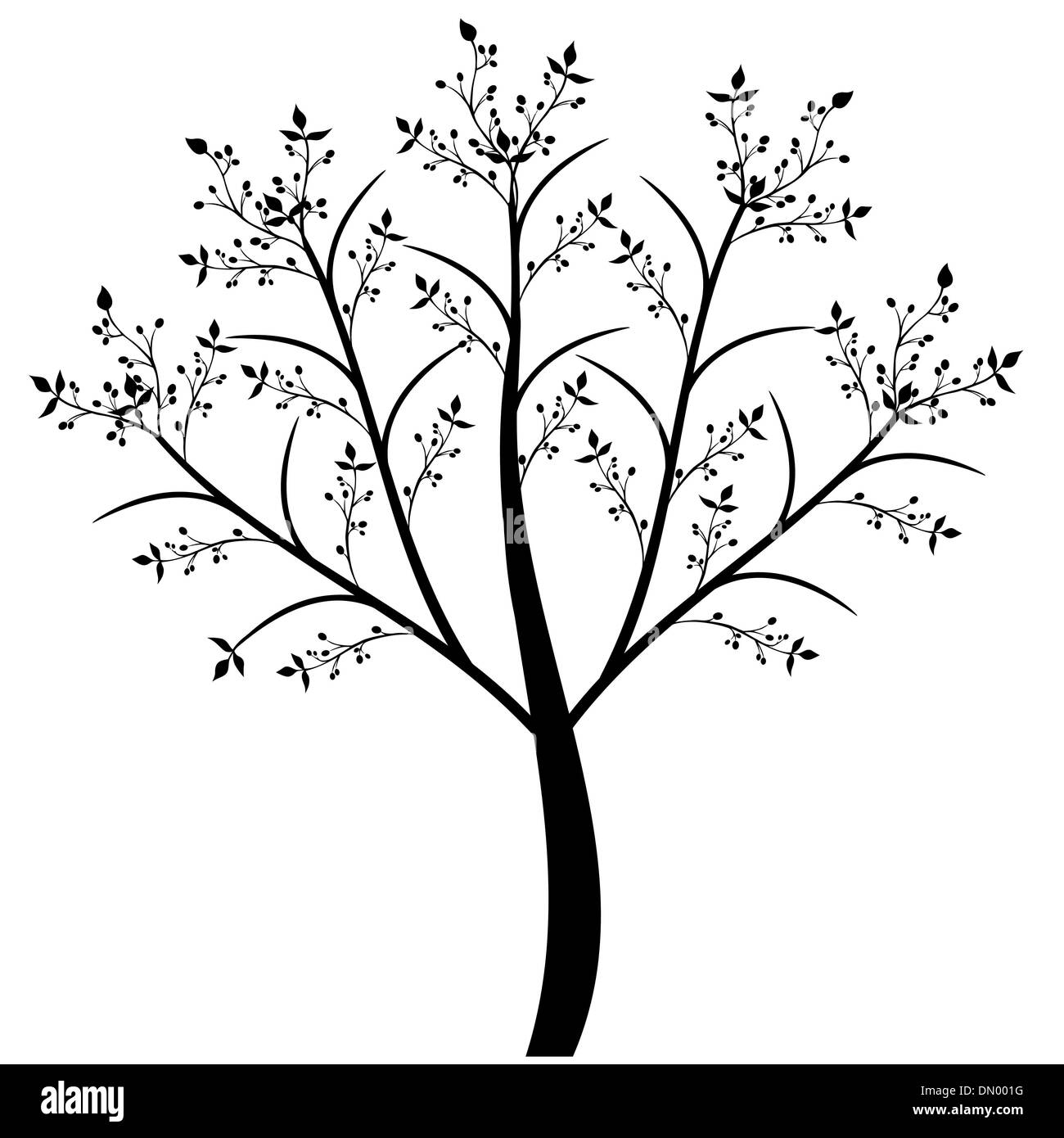 Olive tree growing Stock Vector Images - Alamy