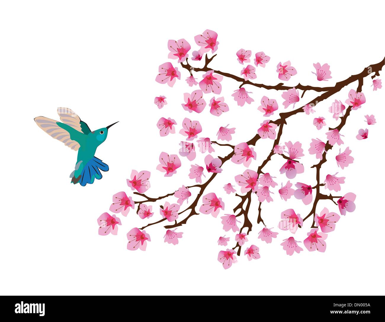 Tropical bird life Stock Vector Images - Alamy