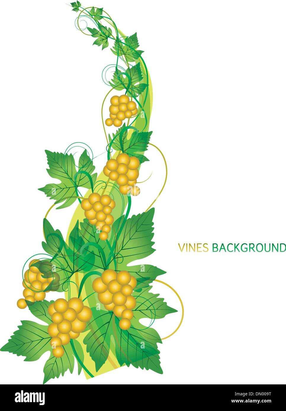 Growing grapes for wine Stock Vector Images - Alamy