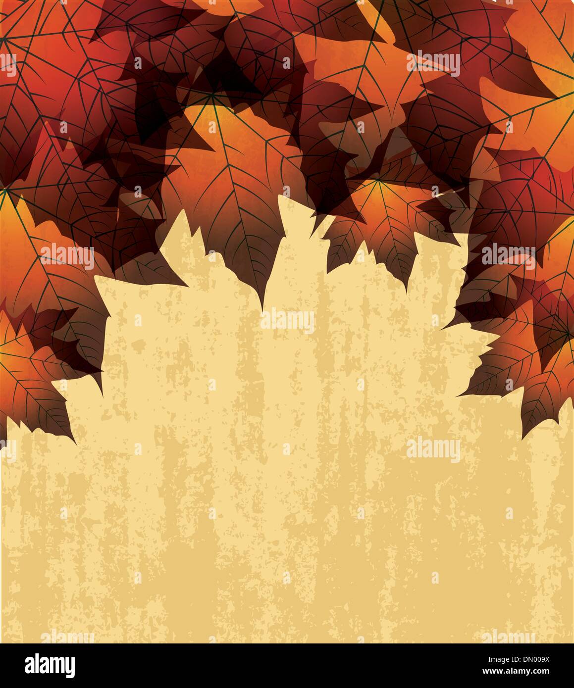 Autumn leaves forest decor Stock Vector Images - Alamy